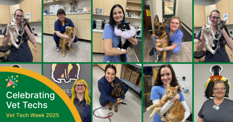Vet Techs | Pet Wellness Clinics